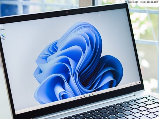 Windows 11 Treiber-Box